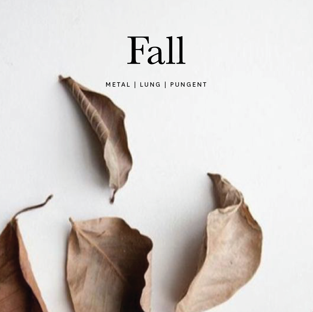 “Honoring Fall: A TCM APPROACH” Free E-Book – Boketto Wellness